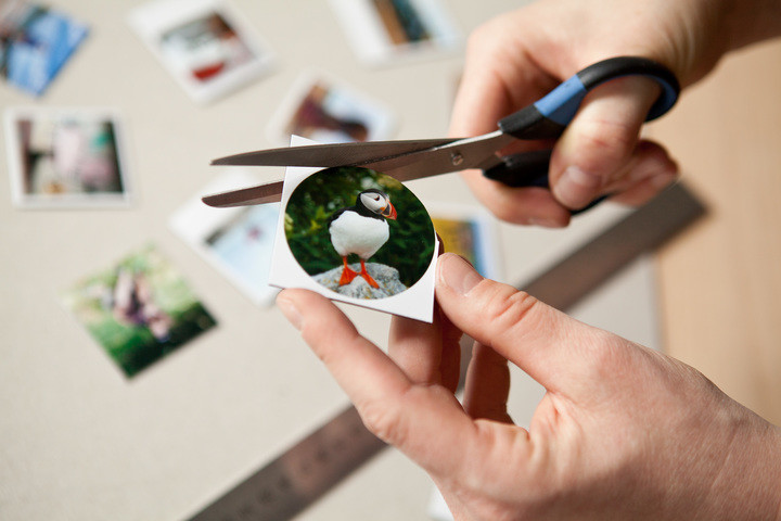 DIY: How To Easily Make Photo Magnets At Home? | Squared.one USD