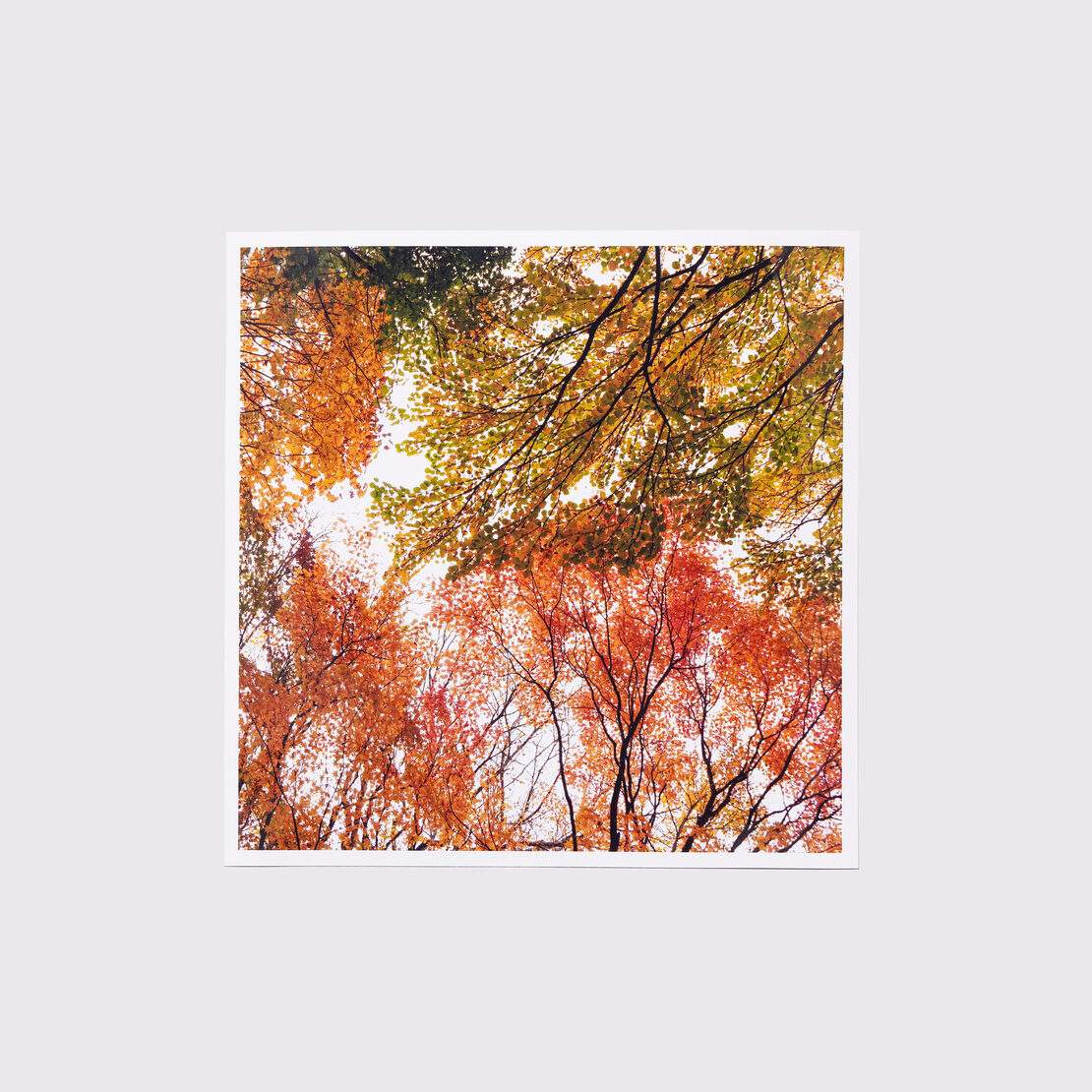 Print Retro Photo Prints | Polaroid Style | Squared.one USD