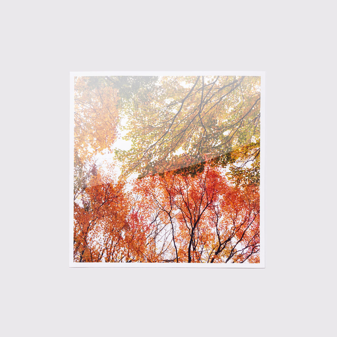 Print Retro Photo Prints | Polaroid Style | Squared.one USD