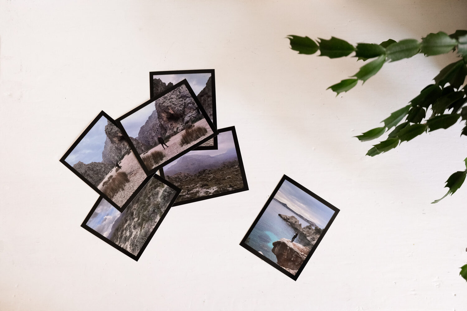 Cómo hacer un collage de fotos para la pared | Squared.one USD