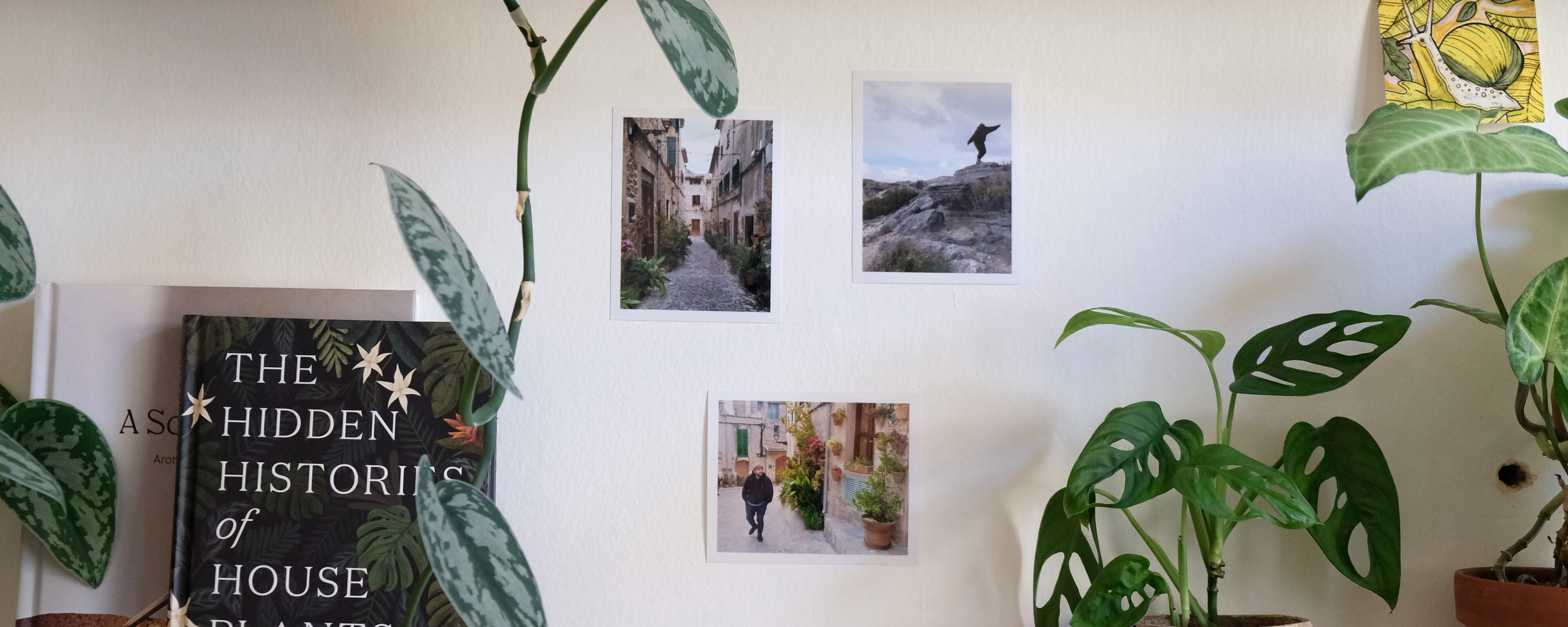 How To Make a Photo Collage for the Wall | Squared.one USD