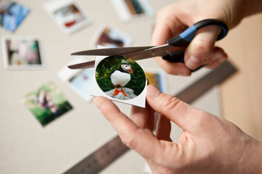 DIY: How To Easily Make Photo Magnets At Home? | Squared.one