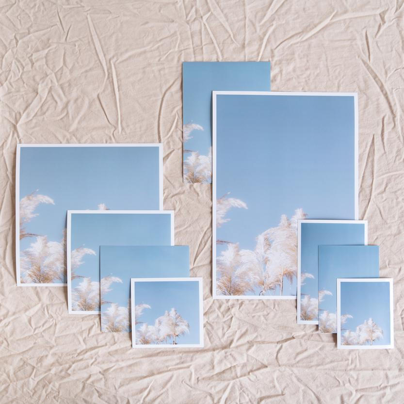 Complete Guide to Standard Photo Print Sizes | Squared.one