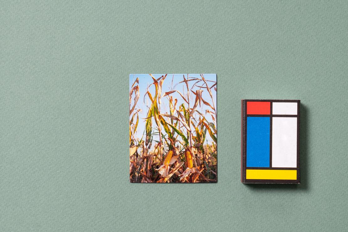 Complete Guide to Standard Photo Print Sizes | Squared.one USD