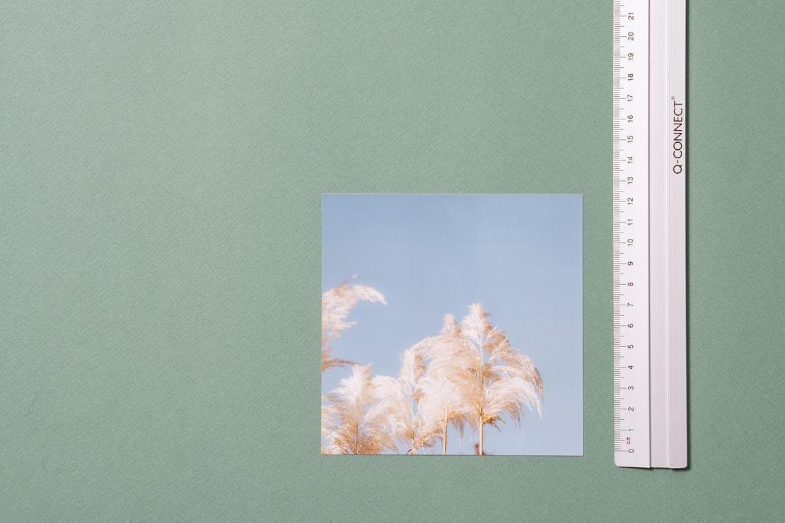 Complete Guide to Standard Photo Print Sizes | Squared.one