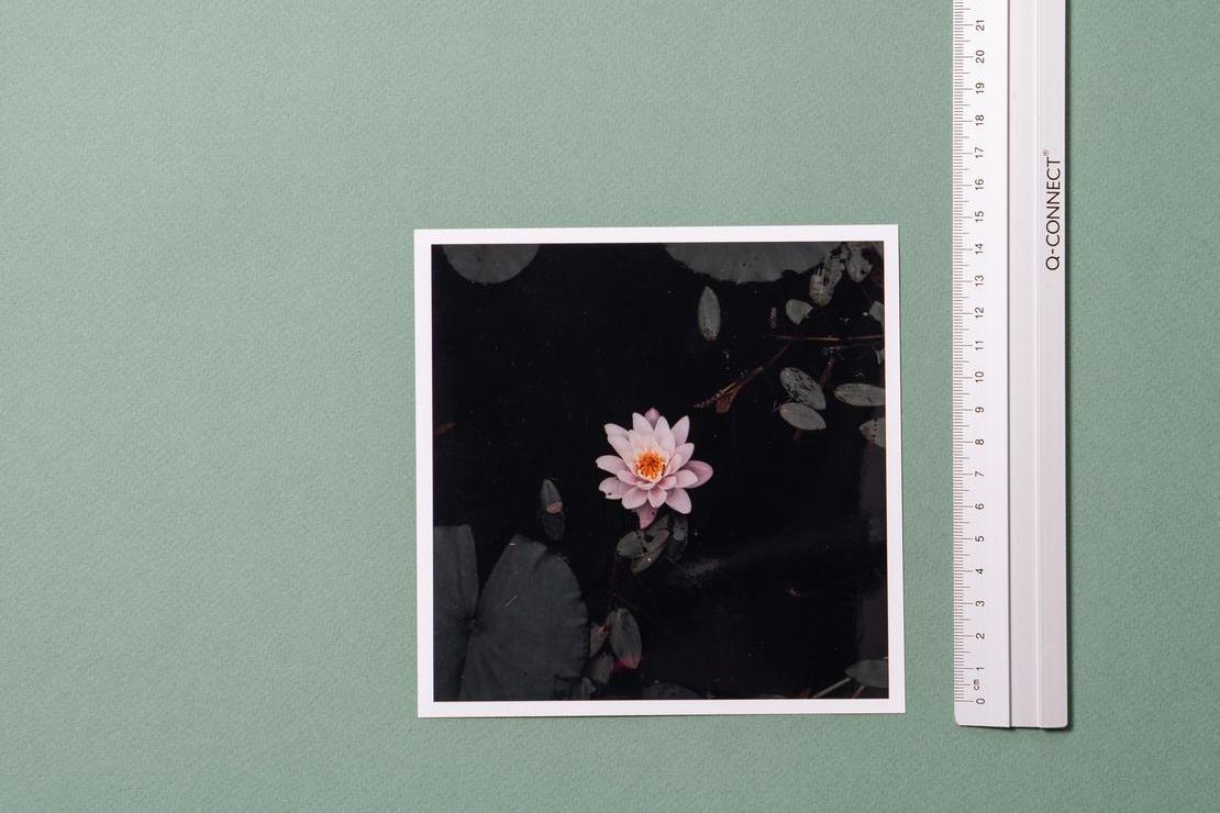 Complete Guide to Standard Photo Print Sizes | Squared.one